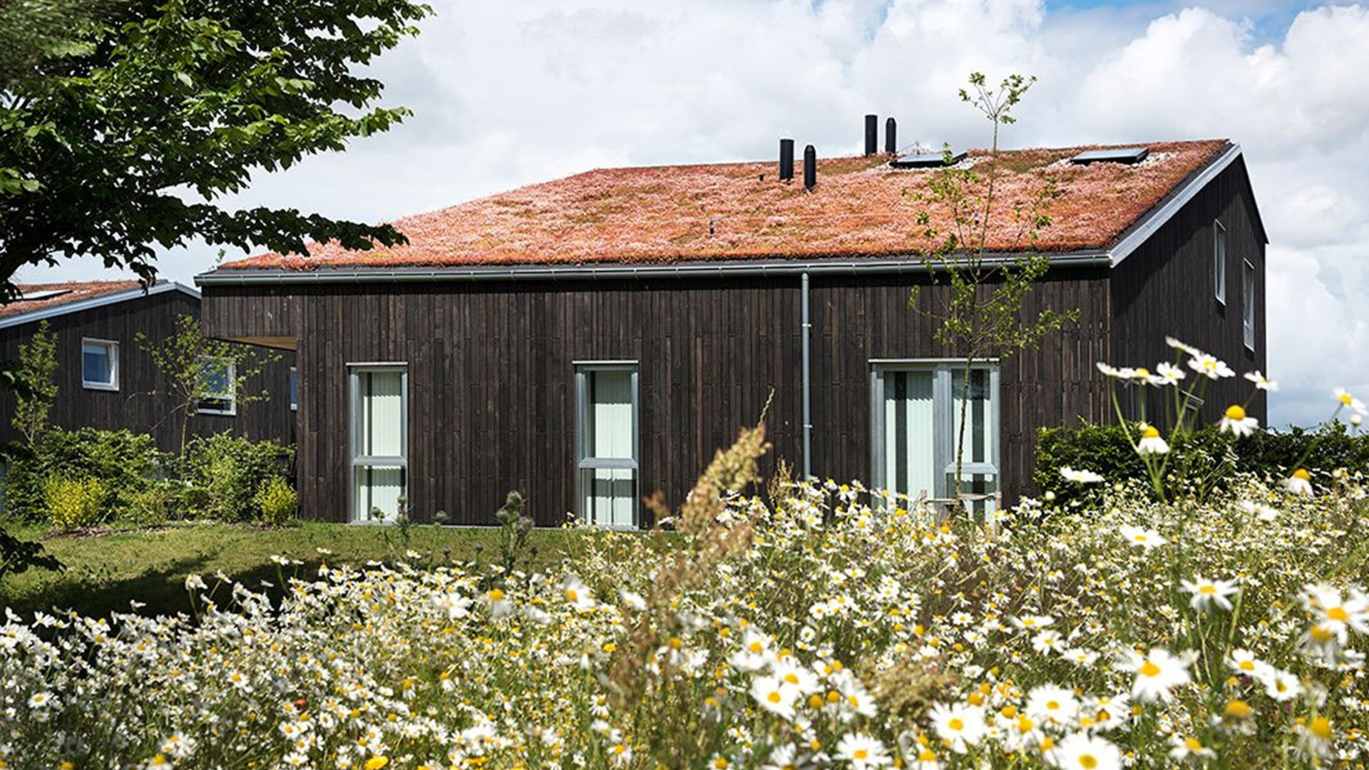 JAJA Architects - Three JAJA Projects Featured on Low CO2 Emission List